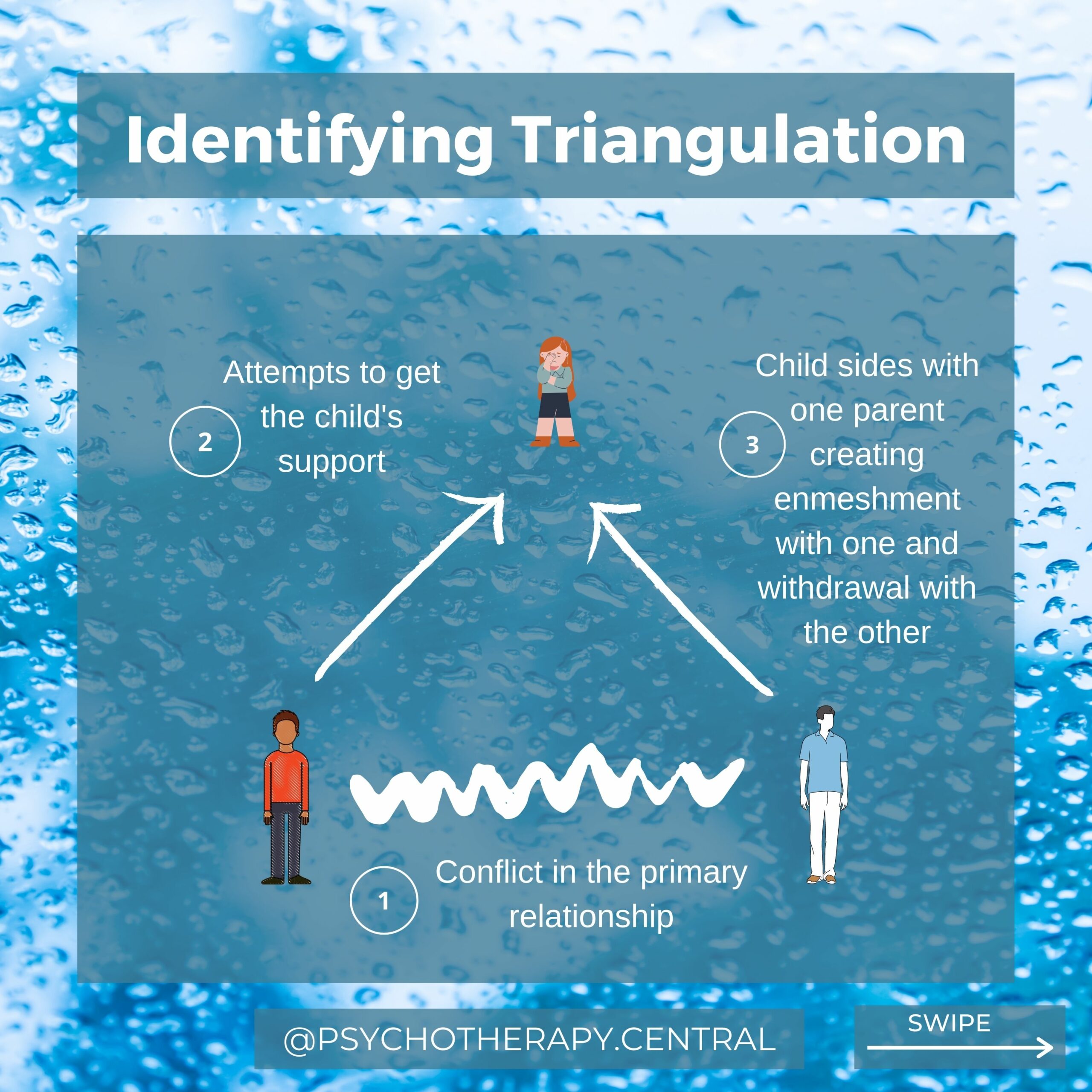 Identifying Triangulation